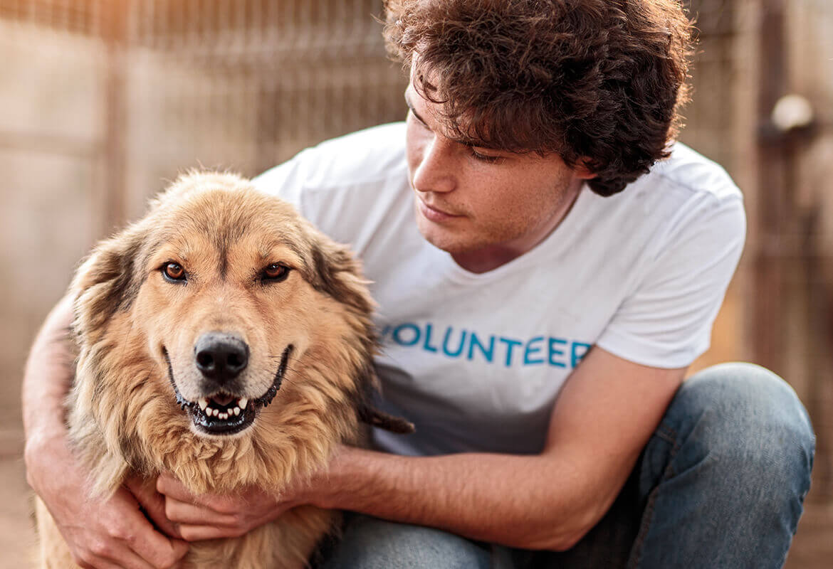 Help pets with pain stay happy - SAVAVET