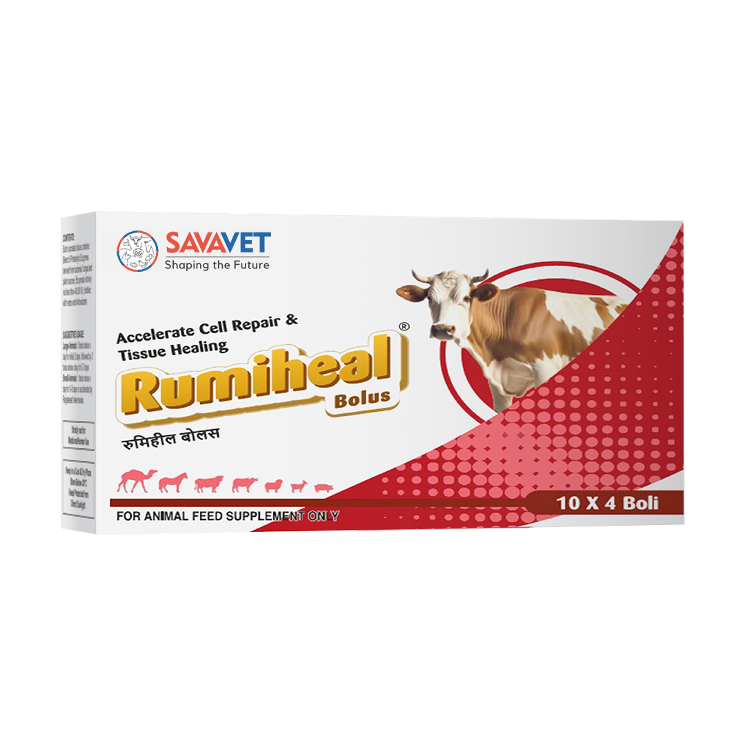 RUMIHEAL BOLUS – Sava Vet